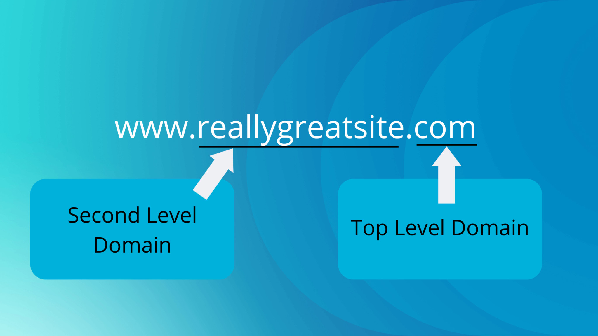 How to Choose The Best Domain Name for eCommerce Website - Dokan